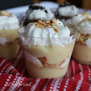 Party Pudding Parfaits - Eat 2 Gather